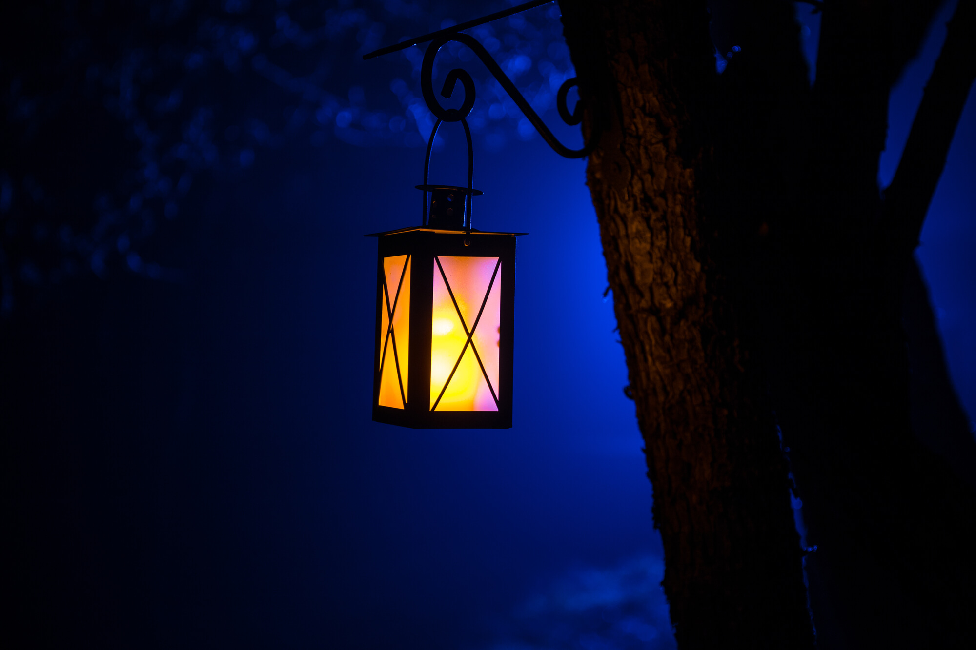 Best Solar Lanterns for 2024 - Portable and Stylish Lanterns for ...