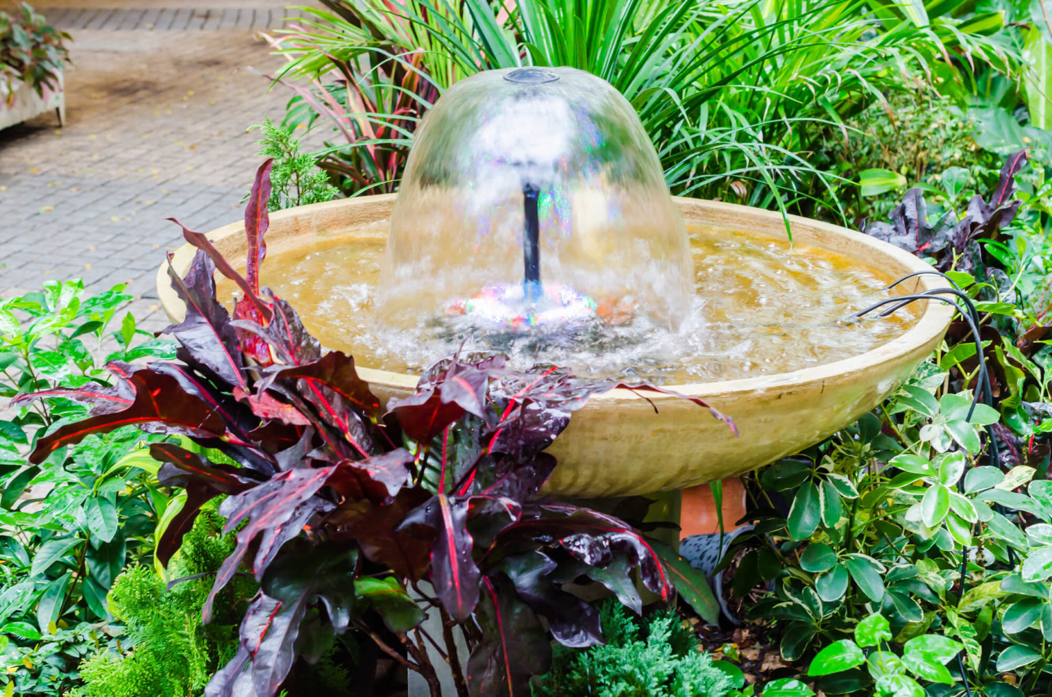Best Solar Fountains for 2024 - Eco-Friendly and Decorative Fountains ...