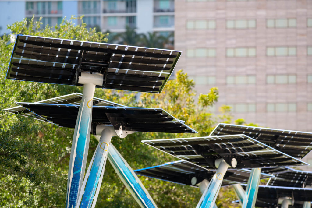Solar Trees Guide for 2024 - Solar Panels Network USA