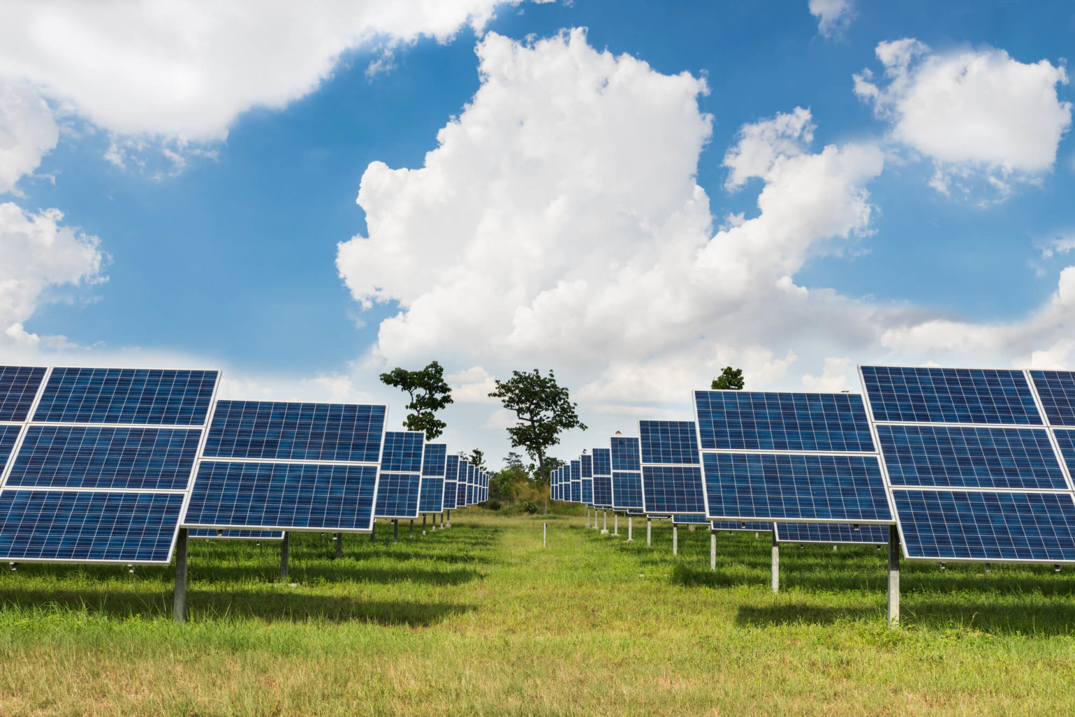 How to Build a Solar Farm: A Step-by-Step Guide - Solar Panels Network USA