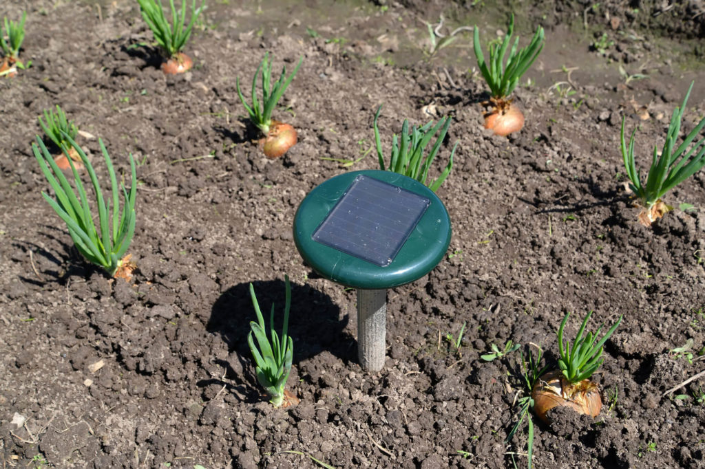 Best Solar Pest Repellers for 2025 - Eco-Safe Repellers for Keeping ...
