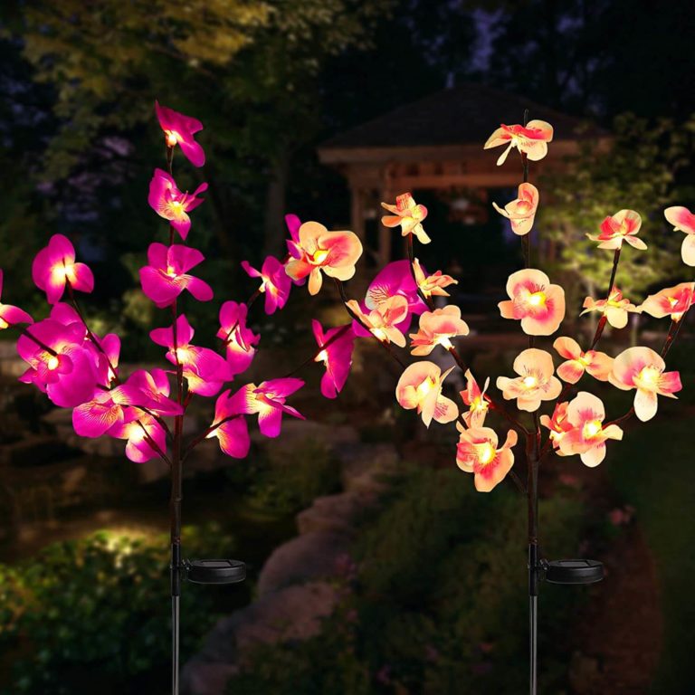 Best Solar Flower Lights for 2024 - Colorful and Charming Flower Lights ...