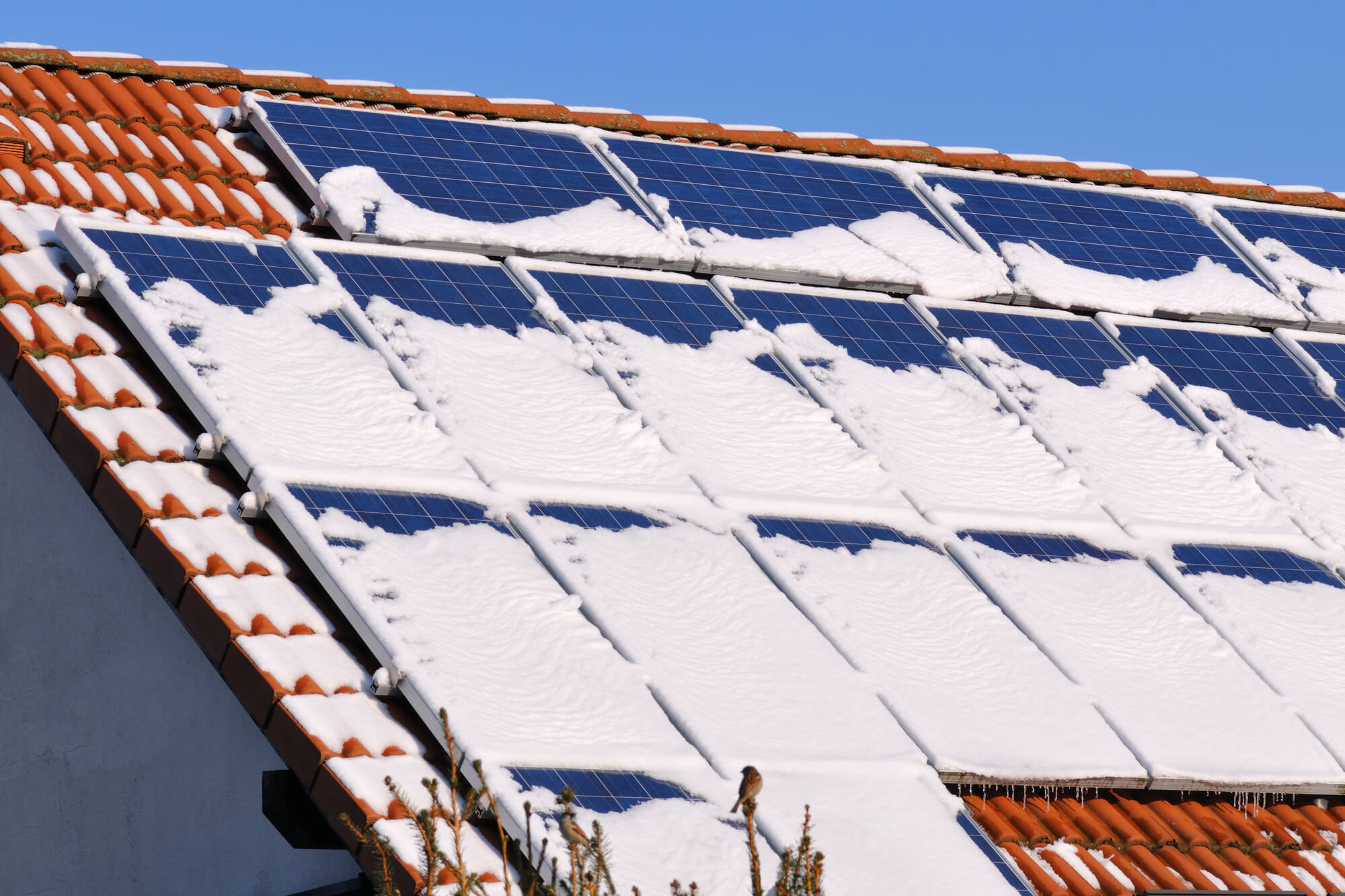 How to Keep Snow off Solar Panels - Solar Panels Network USA
