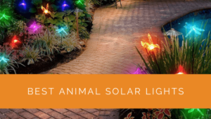 Best Animal Solar Lights for 2024 - Fun and Creative Lights for Animal ...