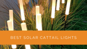 Best Solar Cattail Lights for 2024 - Unique and Decorative Cattail ...