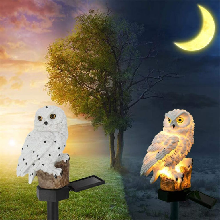 Best Owl Solar Lights for 2025 - Charming Owl-Themed Lights for Gardens ...