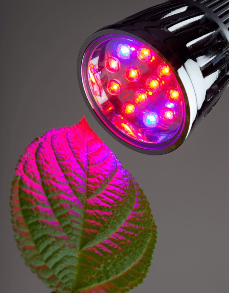 Best Solar Powered Grow Lights for 2024 - Effective Lights for Indoor ...