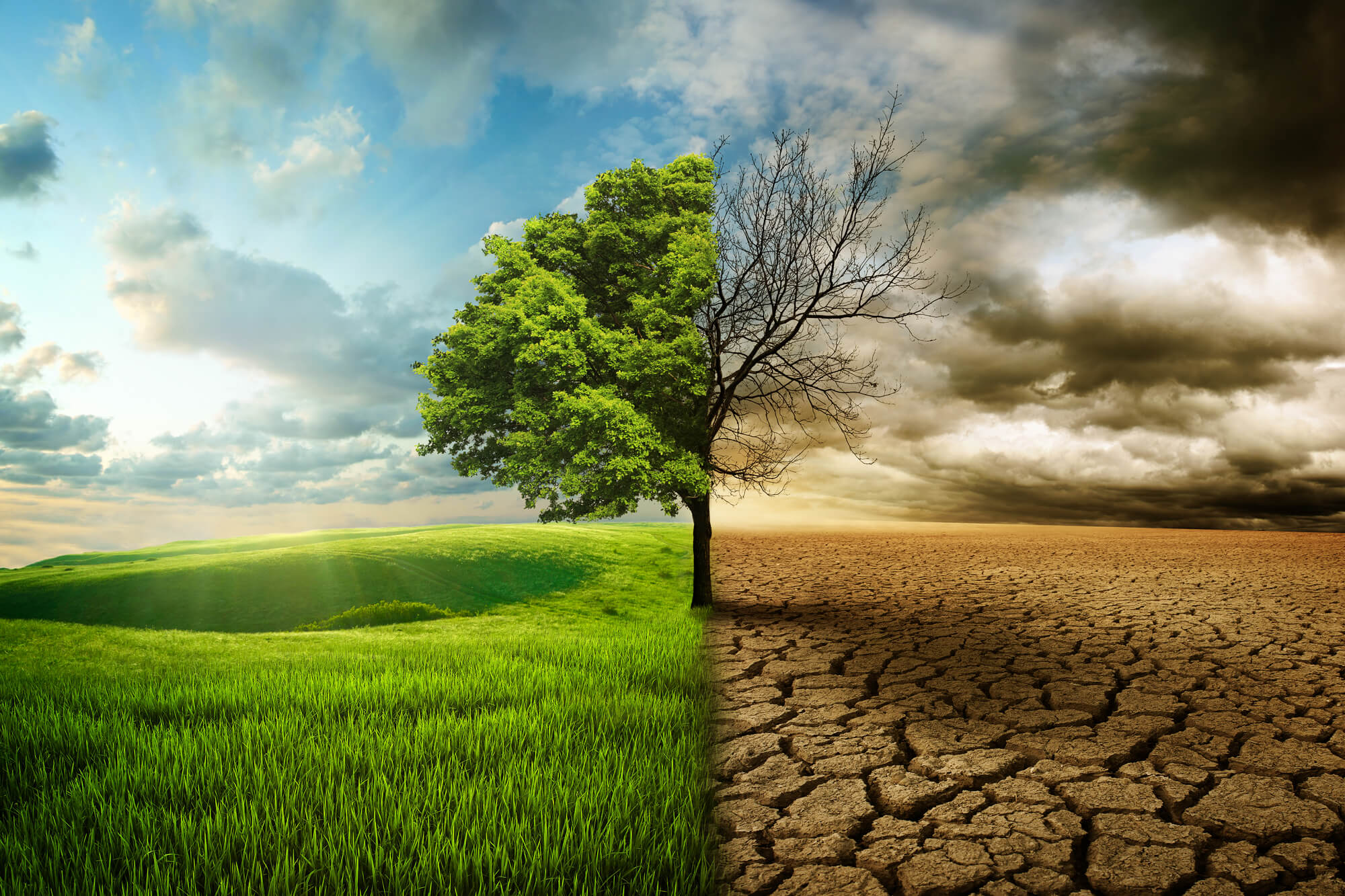 Environmental Degradation: Causes, Effects, and Solutions - Solar ...